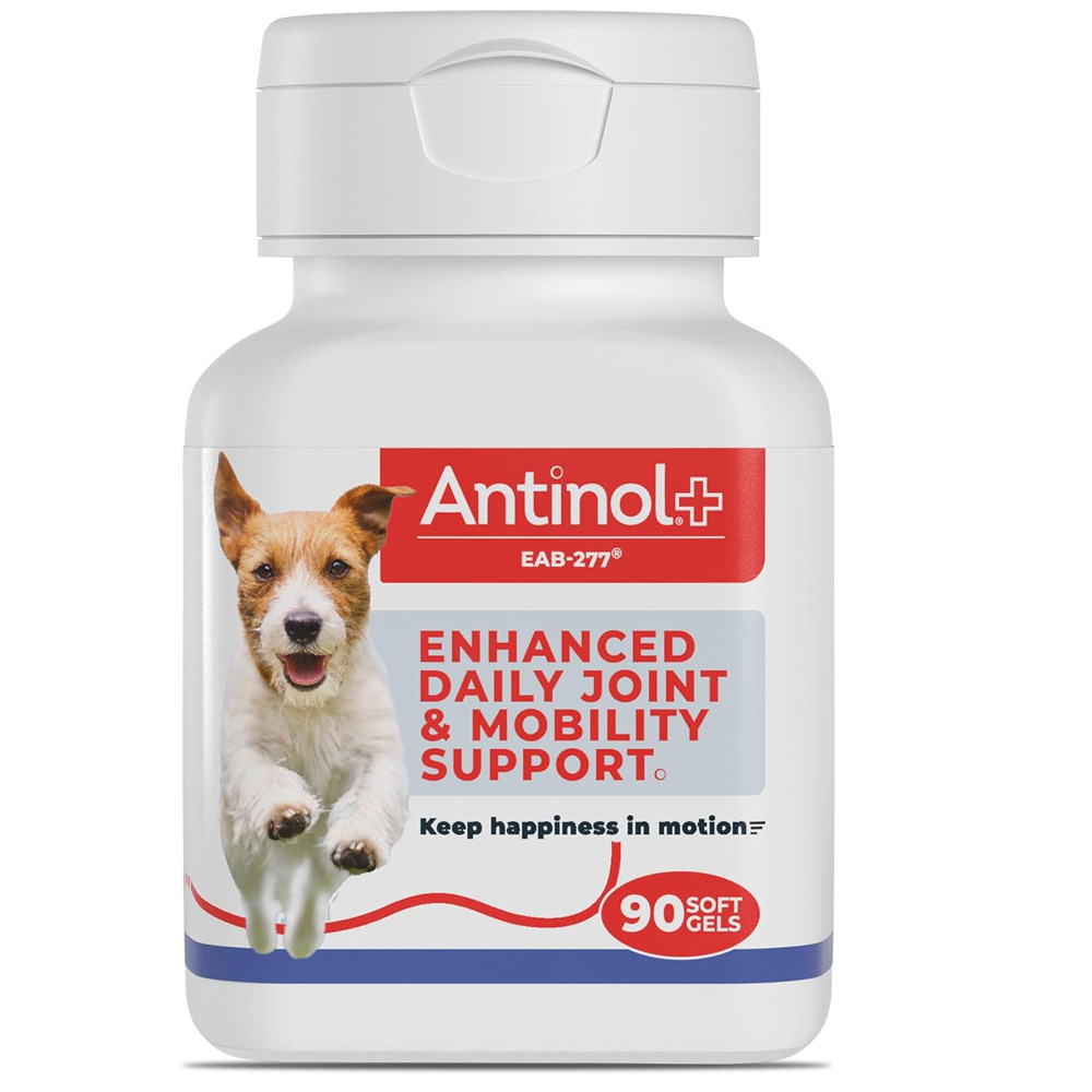 Antinol Plus Mobility, Hip, and Joint Supplement for Dogs, 90 Soft Gels ...