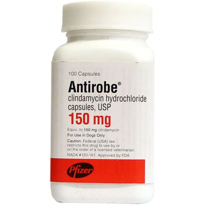 Antirobe 150 mg (100 Capsules) | On Sale | EntirelyPets Rx
