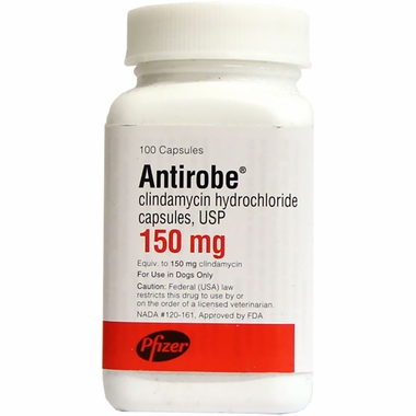 Antirobe 150 mg (Per Capsule) | On Sale | EntirelyPets Rx