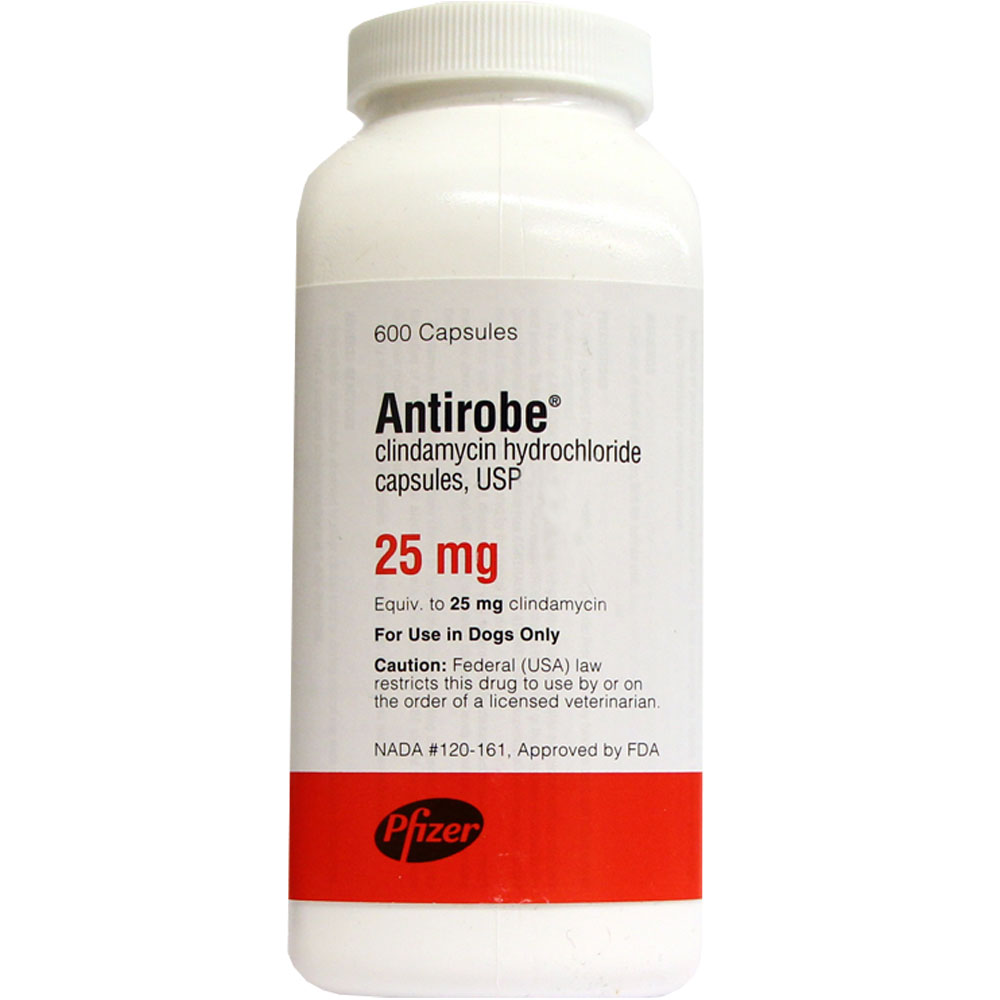 Antirobe 25 mg (Per Capsule) | On Sale | EntirelyPets Rx