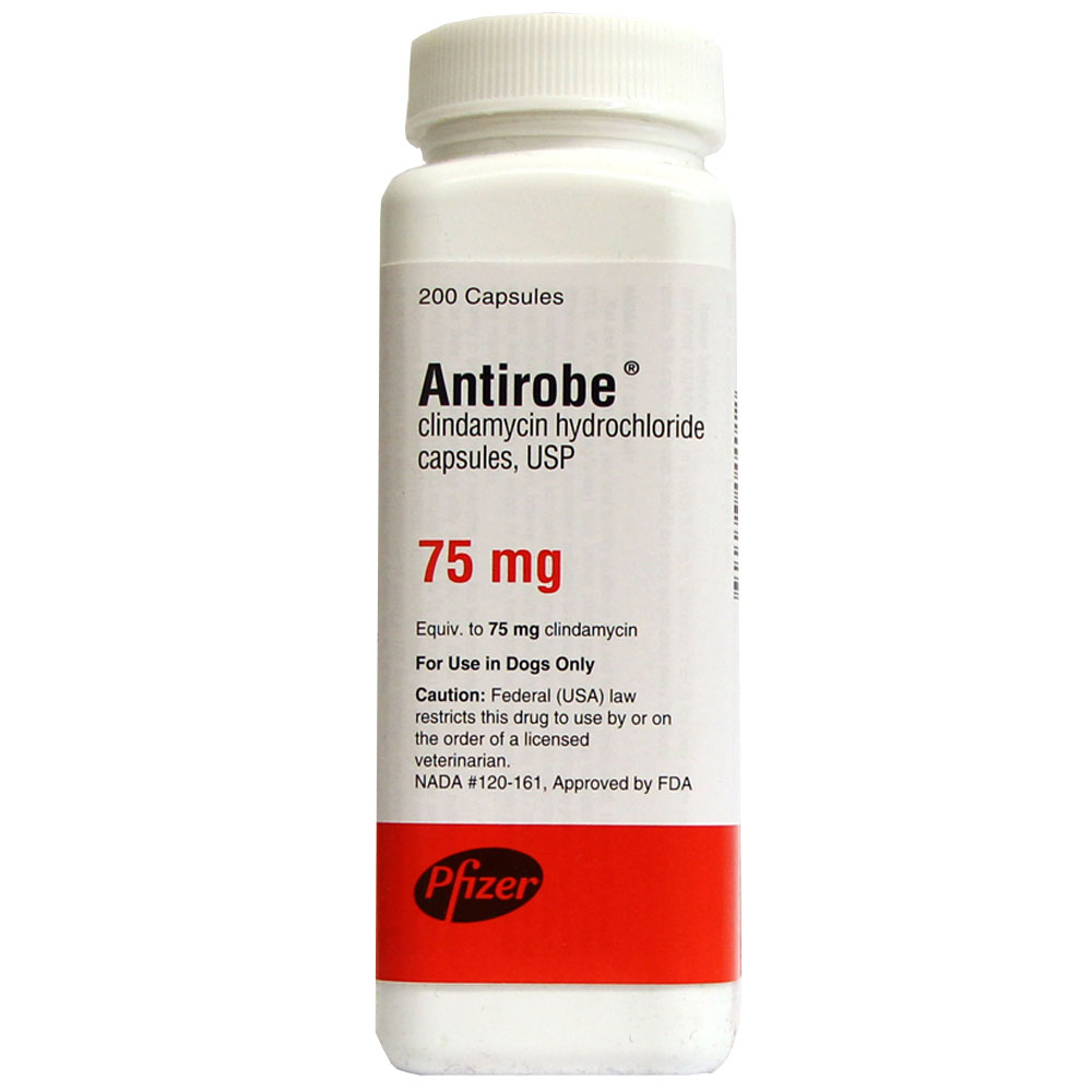 Antirobe 75 mg (200 Capsules) | On Sale | EntirelyPets Rx