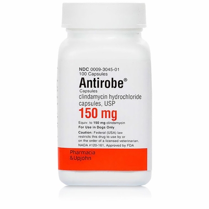 Antirobe (Clindamycin) for Dogs | On Sale | EntirelyPets Rx