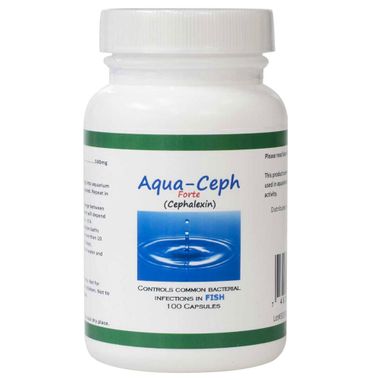Aqua-Ceph Forte (Cephalexin) 500mg (100 count) | On Sale | EntirelyPets Rx