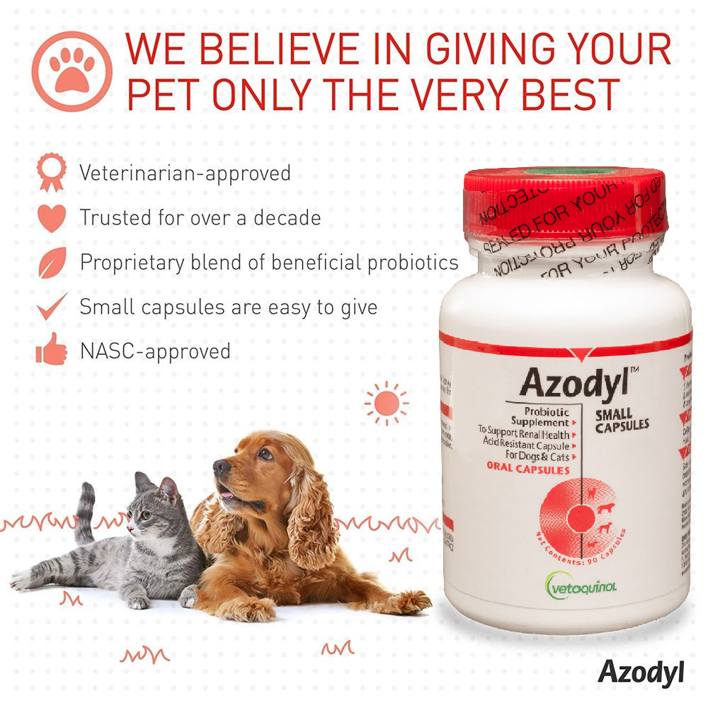 Azodyl Small Caps (90 count) | On Sale | EntirelyPets Rx