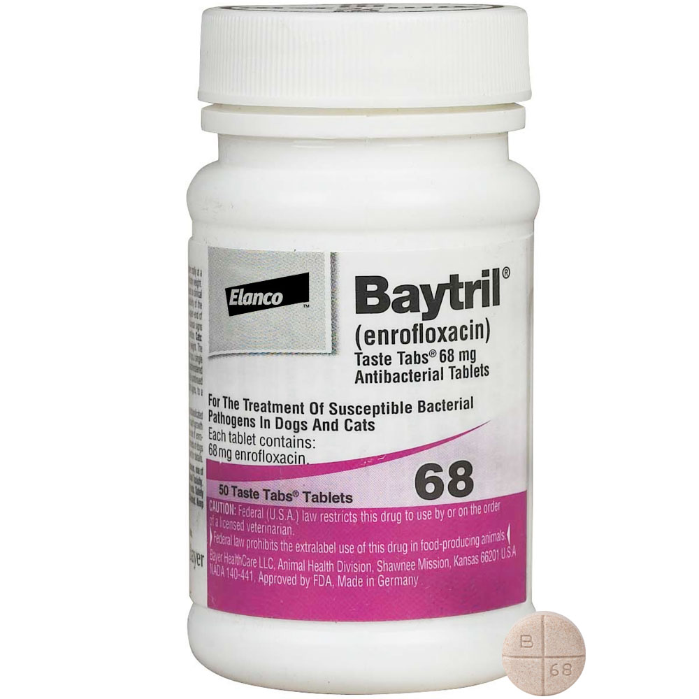 Baytril for Dogs & Cats - 68mg (50 Taste Tablet) - [Bacterial ...