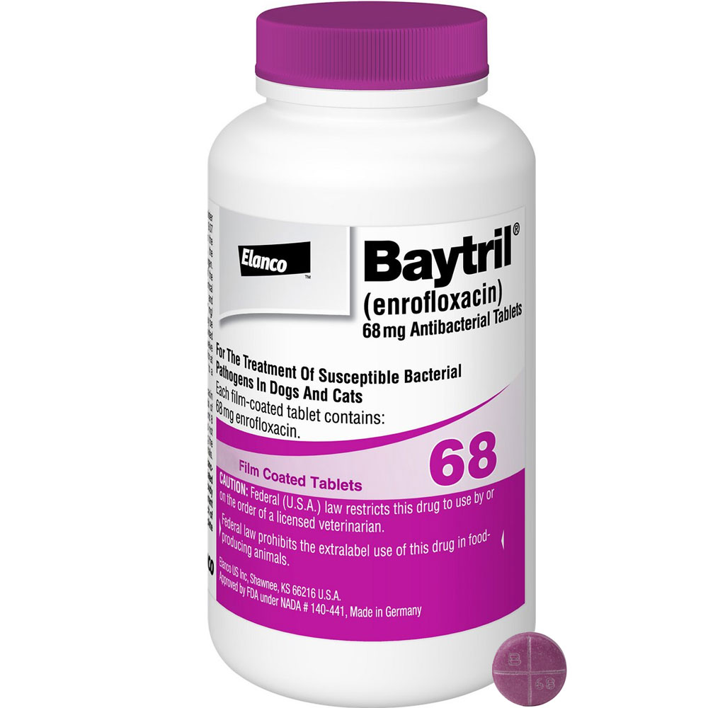 Baytril Purple 68mg (50 Film Coated Tablet) | On Sale | EntirelyPets Rx