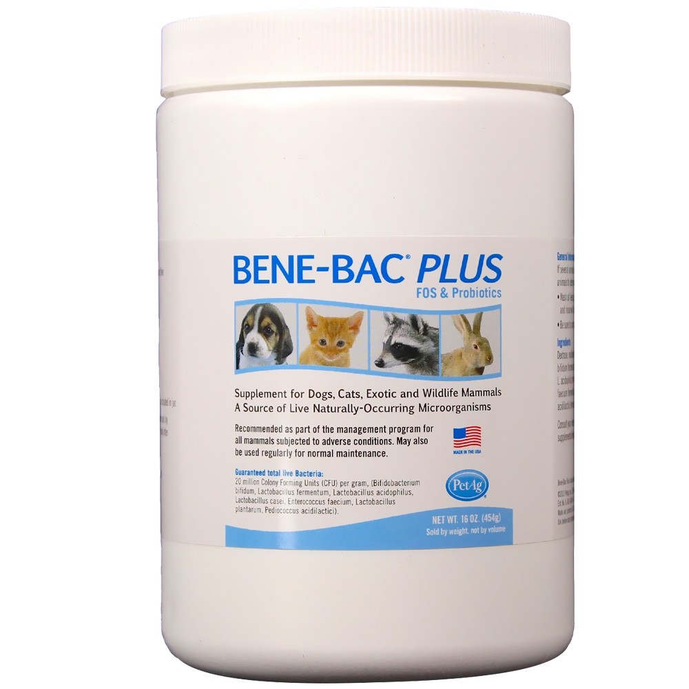 BeneBac Plus Pet Powder (1 lb) | On Sale | EntirelyPets Rx