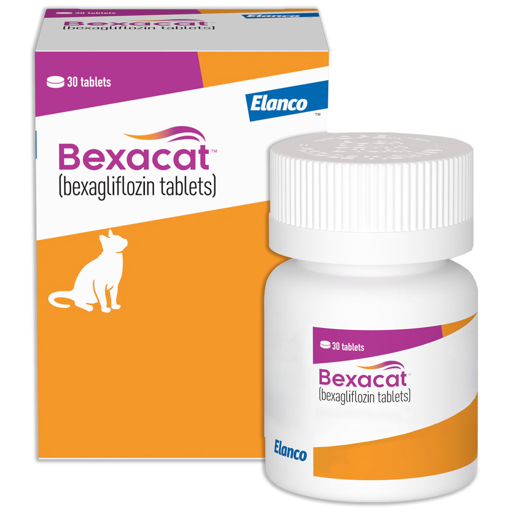 Bexacat (Bexagliflozin) Flavored Tablets for Cats, 15-mg, 30 Tablets ...