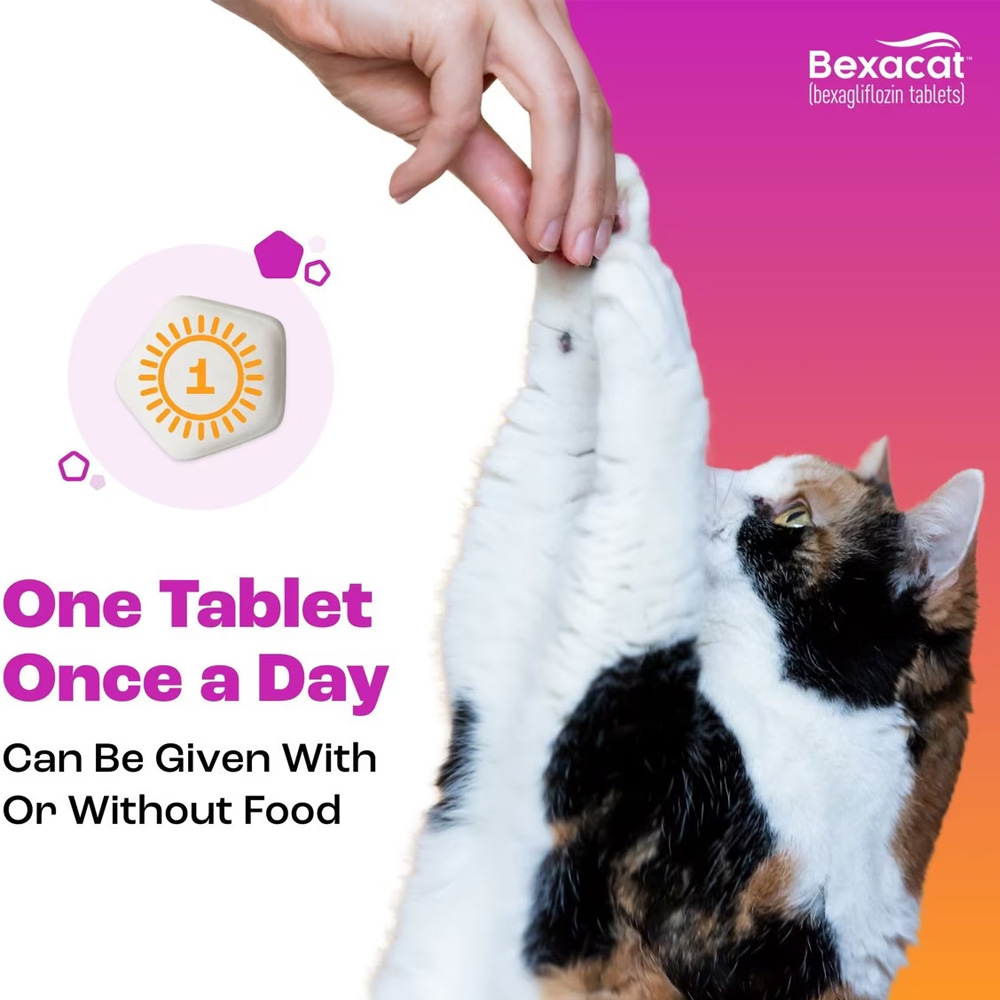 Bexacat for Cats - Bexagliflozin - 15-mg (30 tablets) - [Diabetes] | On ...