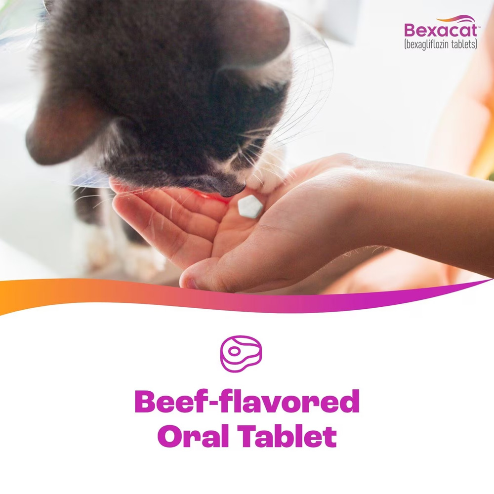 Bexacat for Cats - Bexagliflozin - 15-mg (30 tablets) - [Diabetes] | On ...