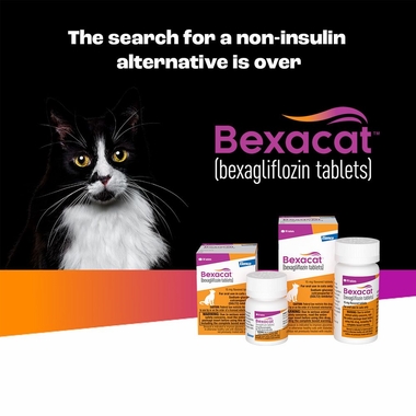 Bexacat for Cats - Bexagliflozin - 15-mg (30 tablets) - [Diabetes] | On ...