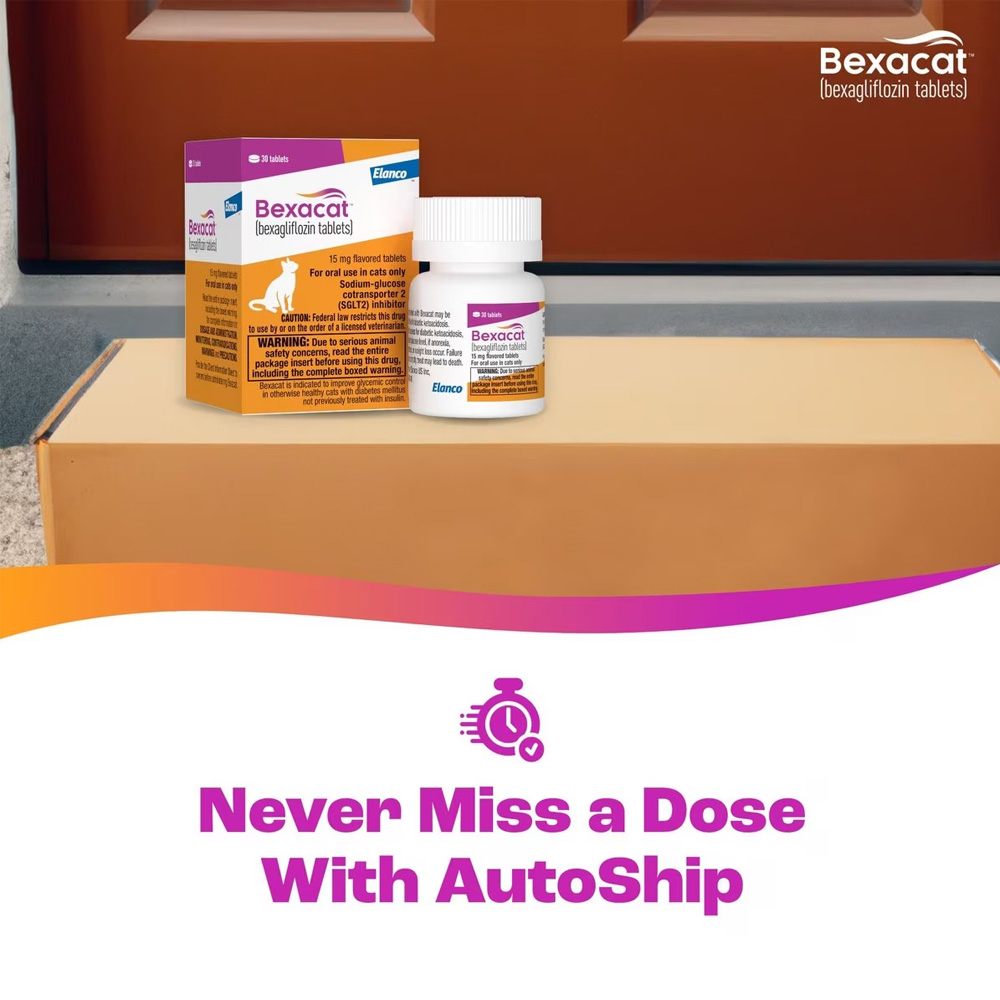 Bexacat for Cats - Bexagliflozin - 15-mg (30 tablets) - [Diabetes] | On ...