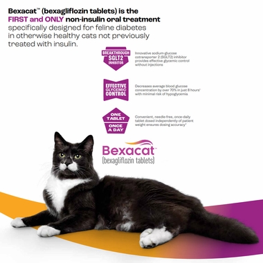 Bexacat (Bexagliflozin) Flavored Tablets for Cats, 15-mg, 30 Tablets ...