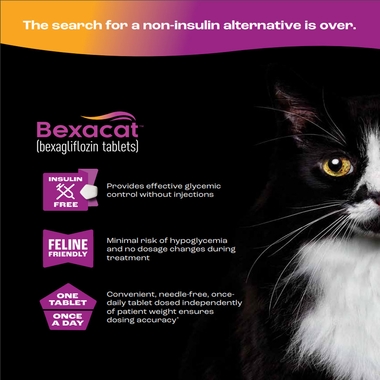 Bexacat (Bexagliflozin) Flavored Tablets for Cats, 15-mg, 30 Tablets ...