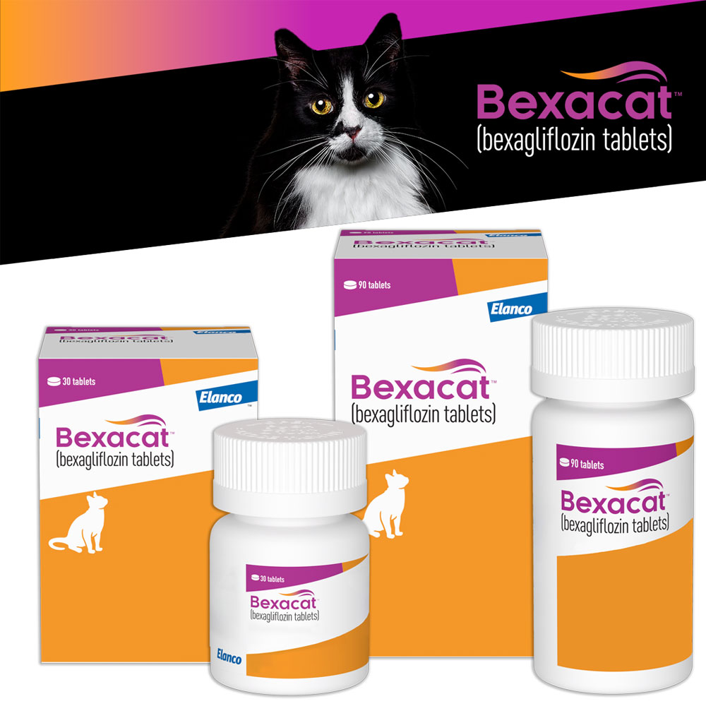 Bexacat (Bexagliflozin) Flavored Tablets for Cats, 15-mg, 90 Tablets ...