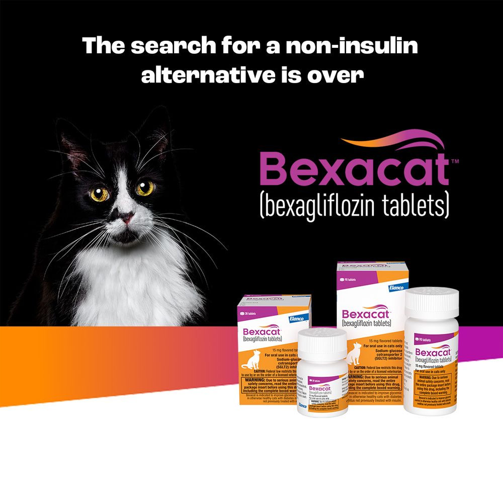 Bexacat for Cats - Bexagliflozin - 15-mg (90 tablets) - [Diabetes] | On ...