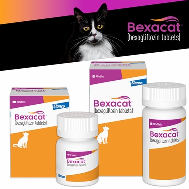 Bexacat (Bexagliflozin) Flavored Tablets for Cats, 15-mg, 90 Tablets ...