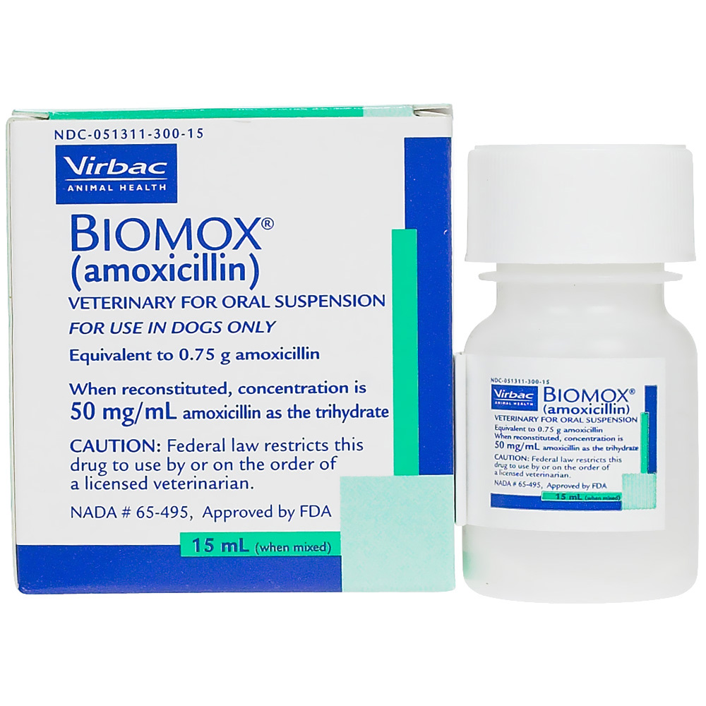 Biomox (Amoxicillin) Oral Suspension for Dogs, 15 mg/mL, 30-mL | On ...