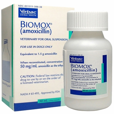 Biomox (Amoxicillin) Oral Suspension for Dogs, 50 mg/mL, 30-mL | On ...
