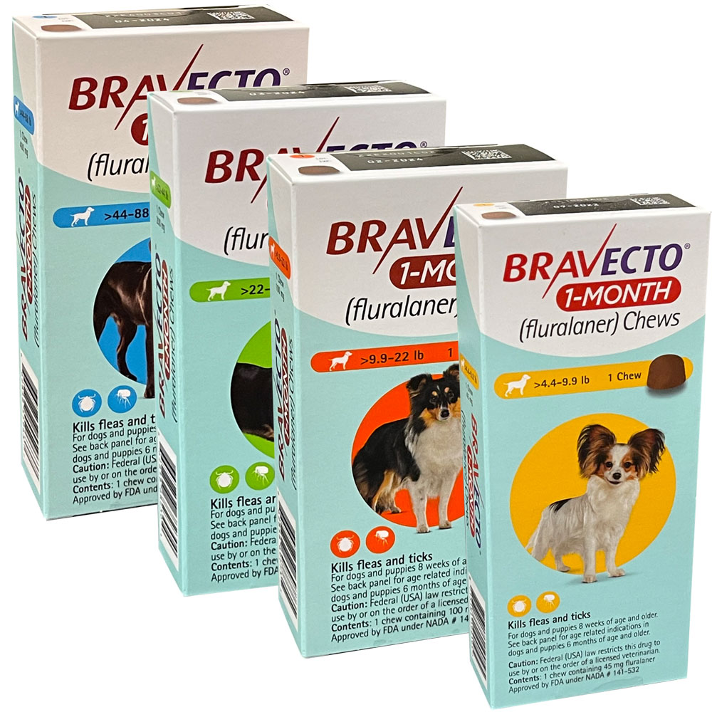 Bravecto 1-Month Chews for Dogs | On Sale | EntirelyPets Rx