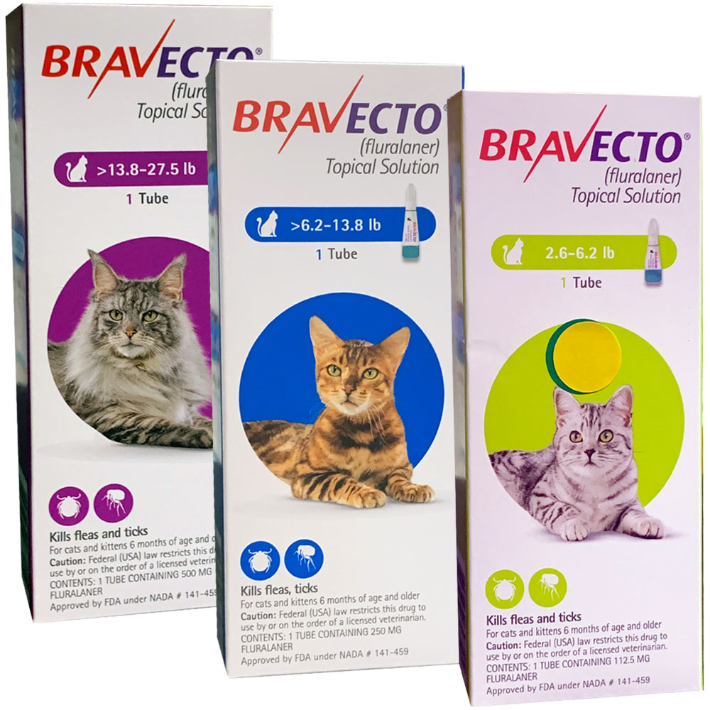 Bravecto Topical Solution for Cats | On Sale | EntirelyPets Rx