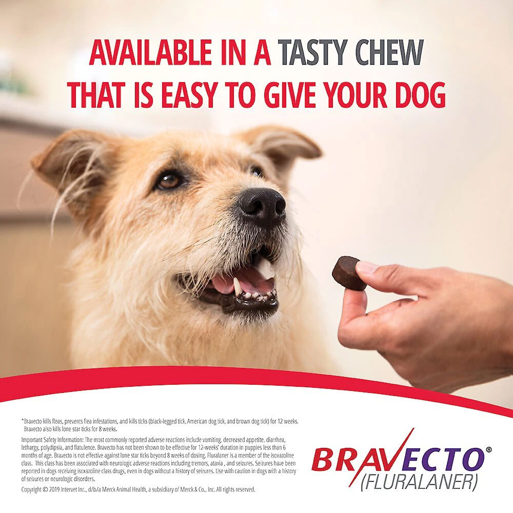 Bravecto Tablets for Dogs (88-123 lbs) | Free Shipping* | EP Rx