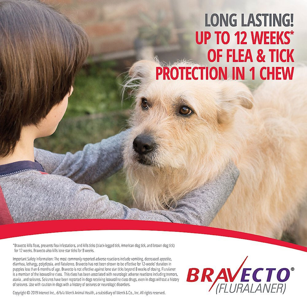 Bravecto Tablets for Dogs 9.9-22 lbs | Free Shipping* | EP Rx