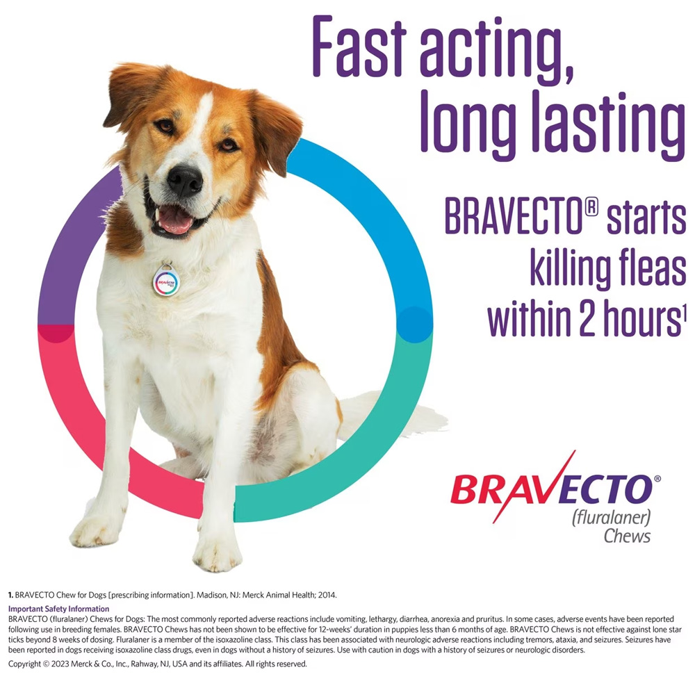 Bravecto Tablets for Dogs 9.9-22 lbs | Free Shipping* | EP Rx