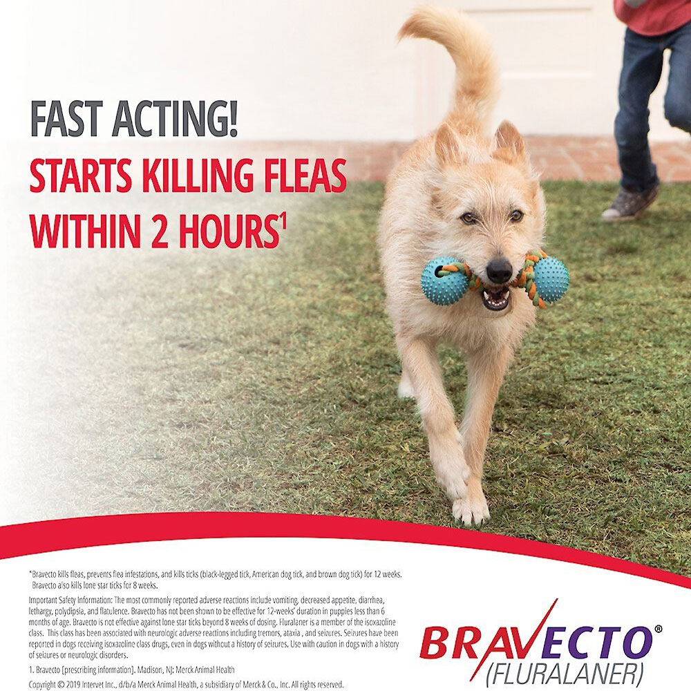 Bravecto Tablets for Dogs 9.9-22 lbs | Free Shipping* | EP Rx