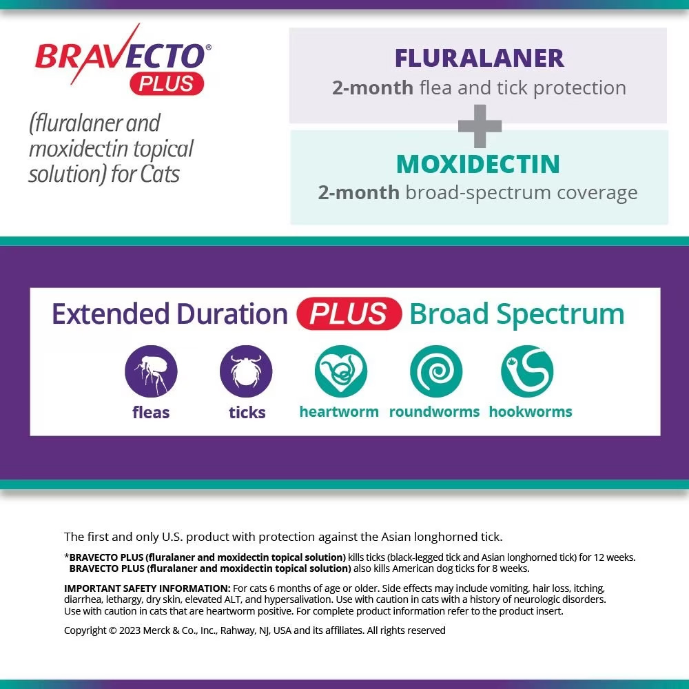Bravecto Plus Topical Solution for Cats - fluralaner|moxidectin - 6.2 ...