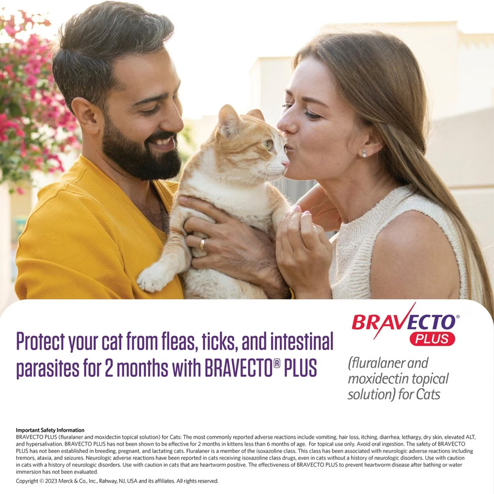 Bravecto Plus Topical Solution for Cats - fluralaner|moxidectin - 6.2 - 13.8 lbs (1 tube ...