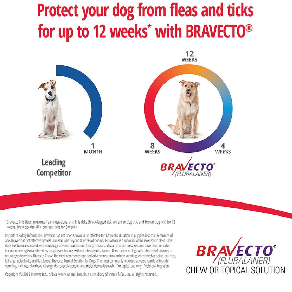 Bravecto Topical Solution for Dogs 4.4-9.9 lbs (1 Tube) | EP Rx