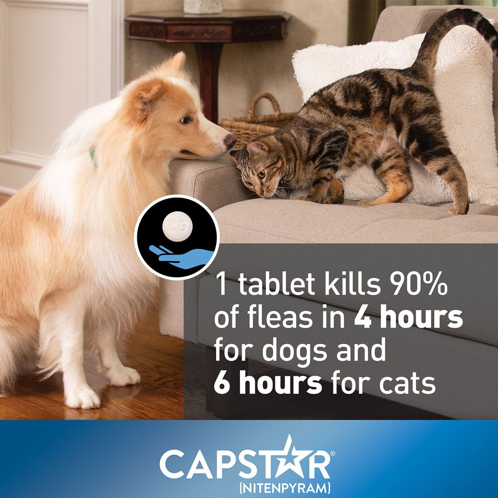 Capstar Flea Control for Dogs Over 25 lbs (24 Tablets) | On Sale ...
