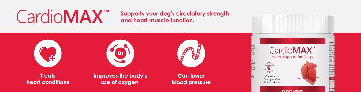 EntirelyPets Pharmacy | Online Pet Pharmacy | Pet Medications | Pet ...