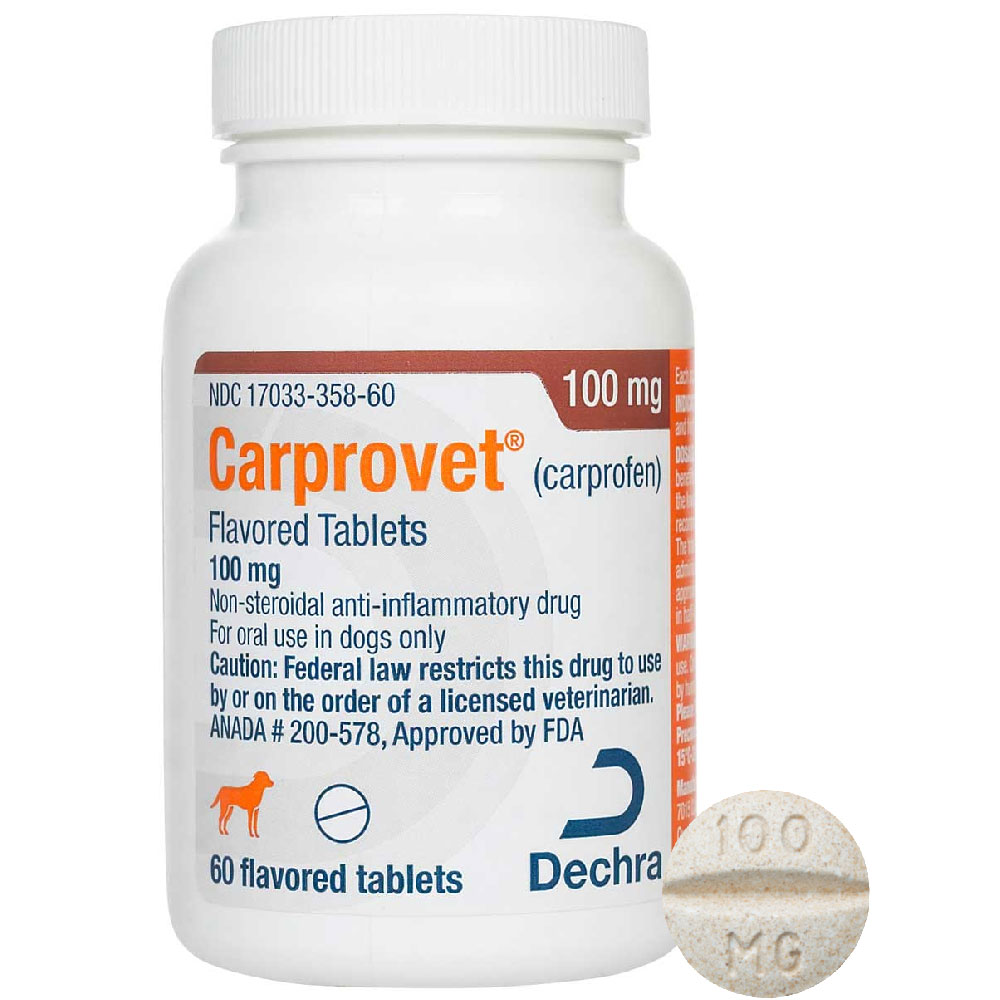 Carprovet Flavored Tablet 100 mg (60 Count) | Free Shipping* | EP Rx