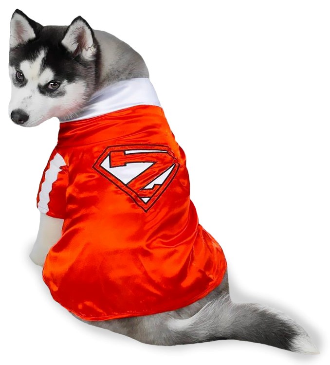 Casual Canine Mighty Mutt Pet Costume - MEDIUM | On Sale | EntirelyPets Rx