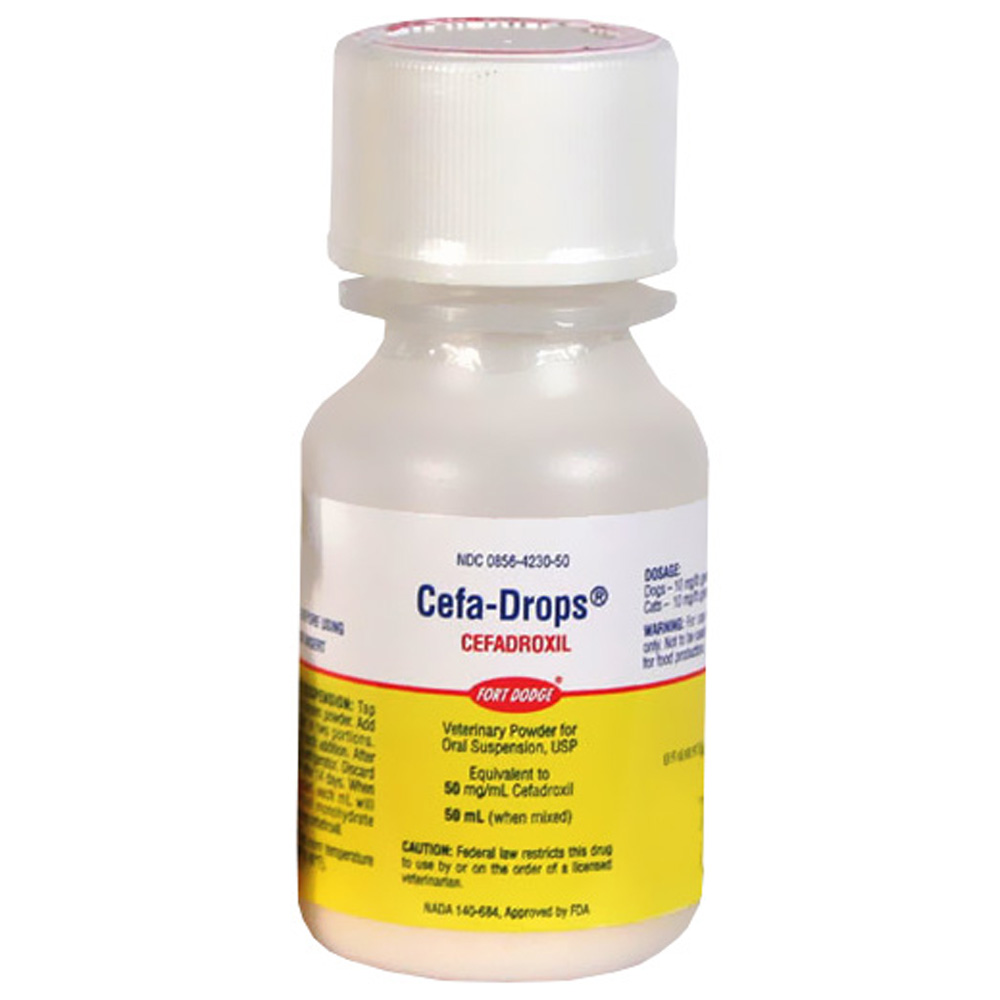 Cefa-Drops [Cefadroxil] 50 mg/ml (50 ml) | On Sale | EntirelyPets Rx