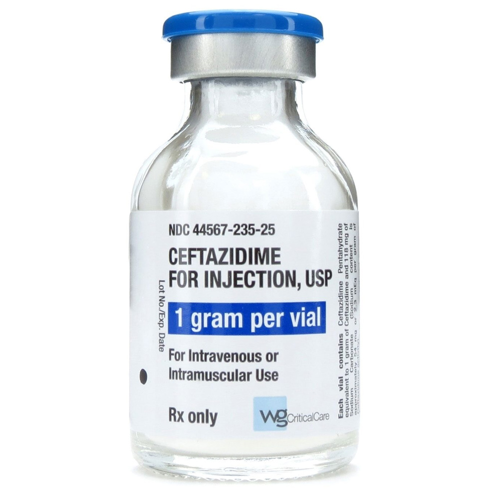Ceftazidime for Injection USP, 1gm per Vial | On Sale | EntirelyPets Rx