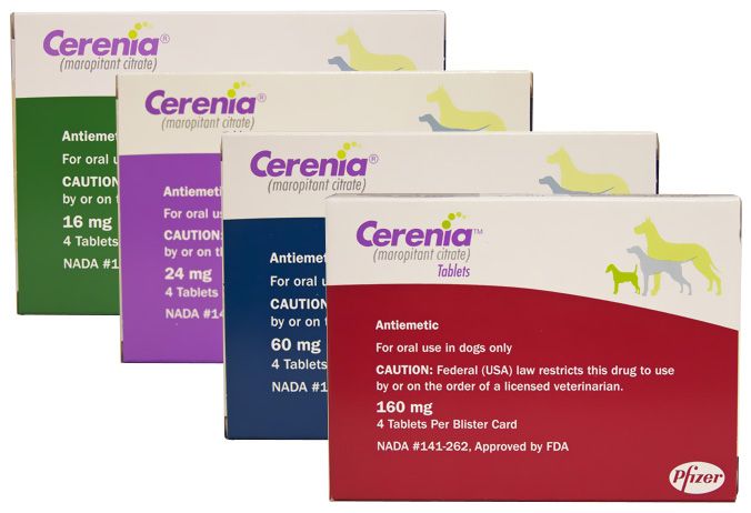 Cerenia Tablets for Dogs | Free Shipping | EntirelyPets Rx