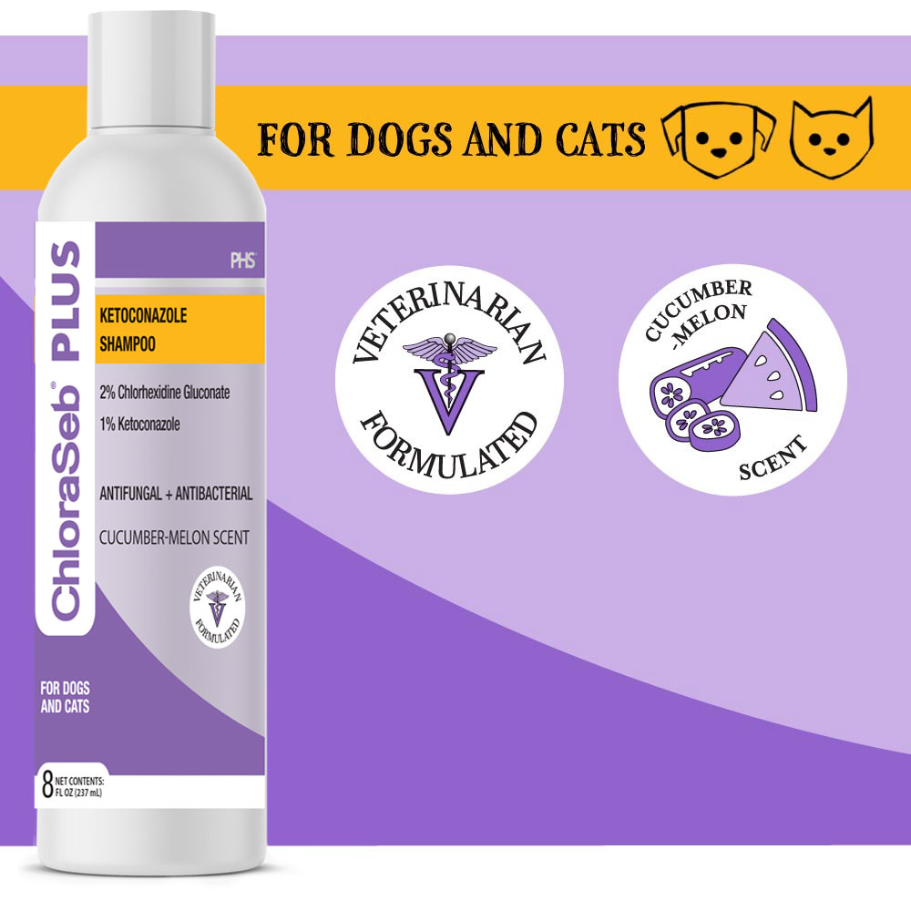 ChloraSeb Plus Shampoo (8 oz) | On Sale | EntirelyPets Rx