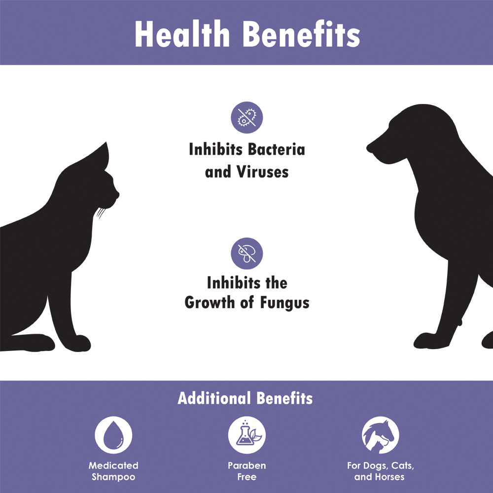 ChloraSeb Plus Shampoo (8 oz) | On Sale | EntirelyPets Rx