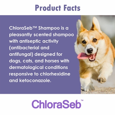 ChloraSeb Plus Shampoo (8 oz) | On Sale | EntirelyPets Rx