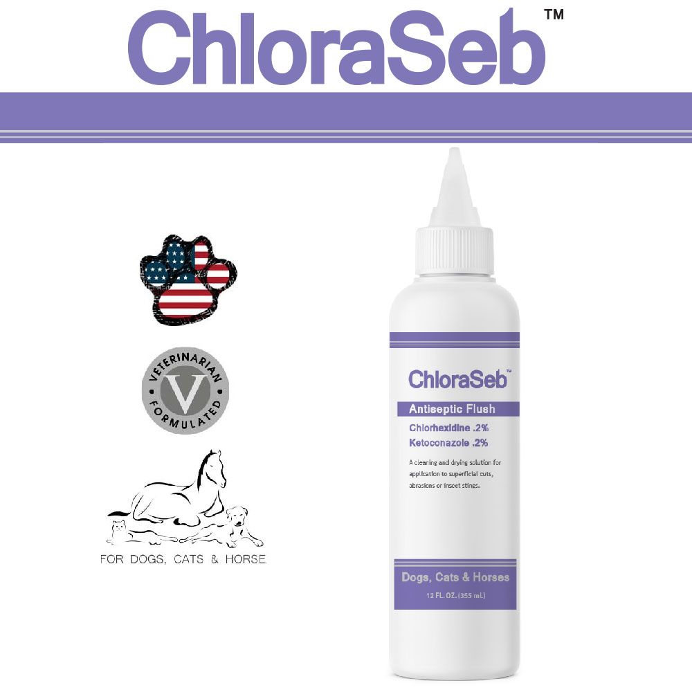 ChloraSeb Antiseptic Flush (12 fl oz) | On Sale | EntirelyPets Rx