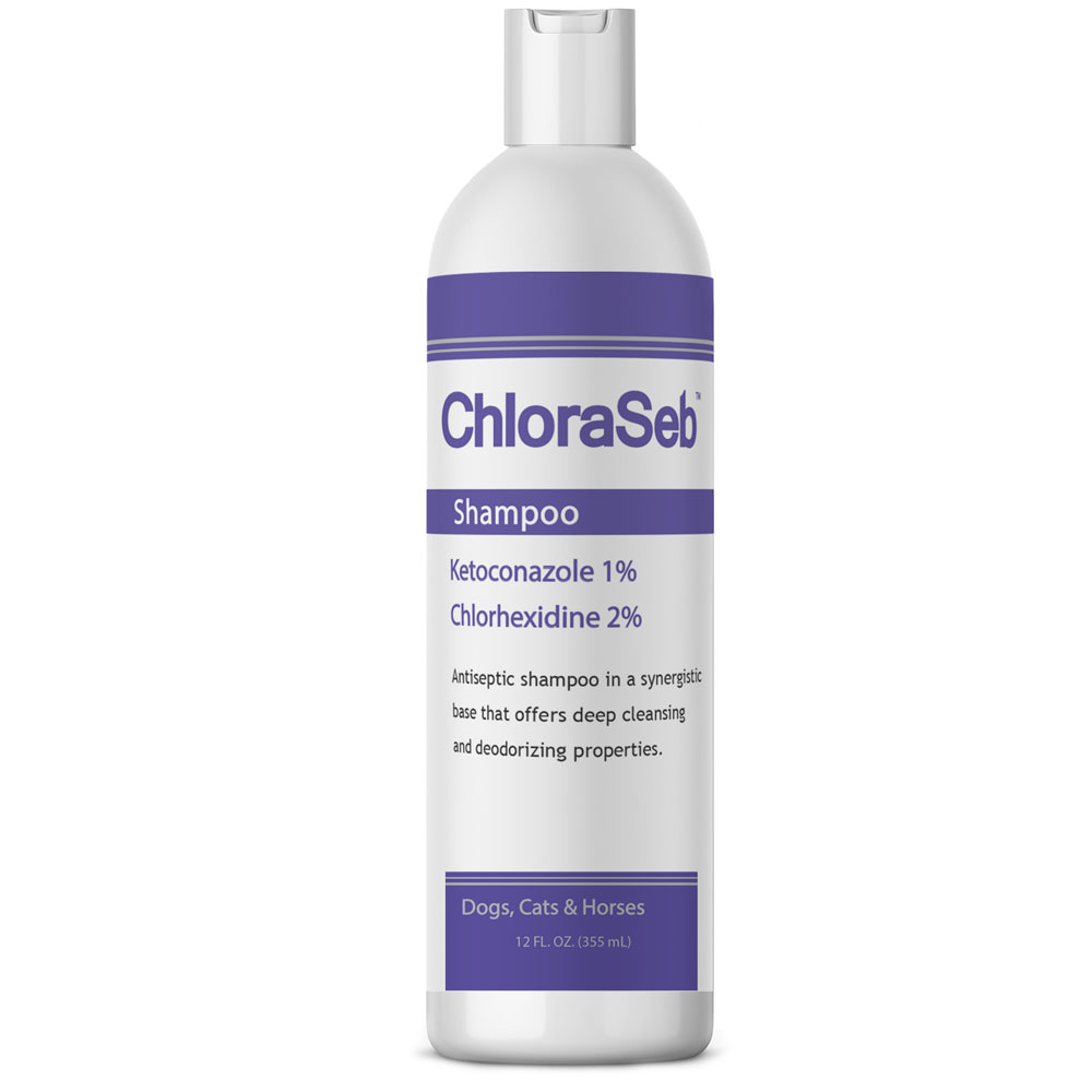 ChloraSeb Antiseptic Shampoo Antifungal+Antibacterial (2% Chlorhexidine ...