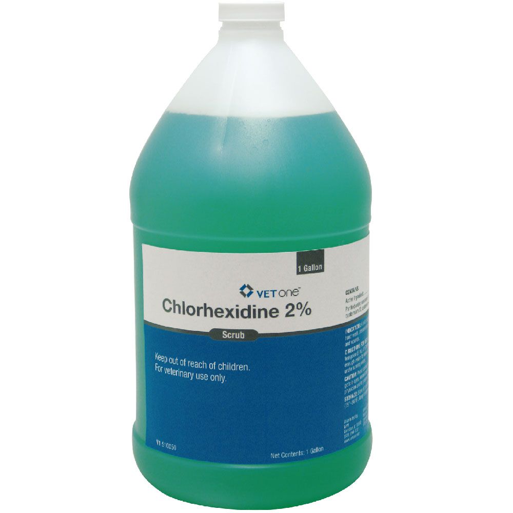 Chlorhexidine 2% Scrub (1 Gallon) | On Sale | EntirelyPets Rx