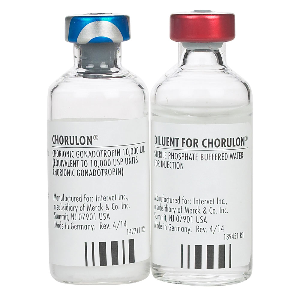 Chorulon 10,000 IU (10 mL) | On Sale | EntirelyPets Rx