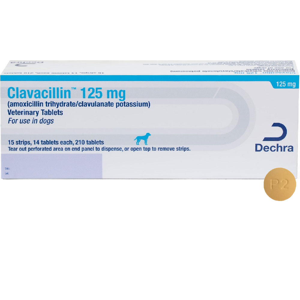 Save On Clavacillin Veterinary Tablets 125 mg (1 Count) | Free Shipping ...