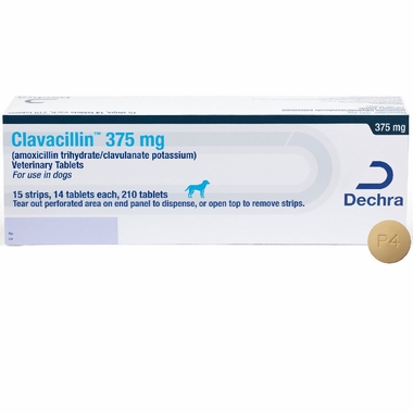Clavacillin (Amoxicillin/Clavulanate Potassium) Veterinary Tablets 375 ...