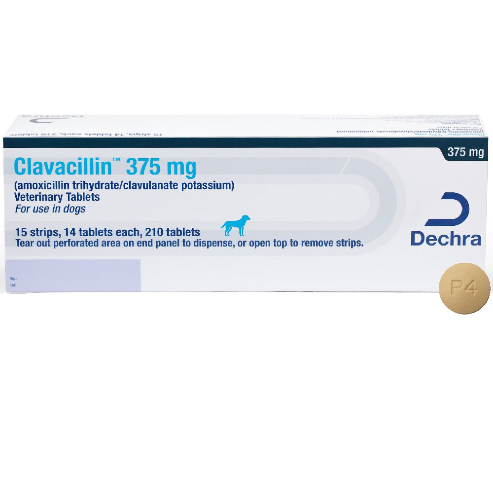 Clavacillin (Amoxicillin/Clavulanate Potassium) Veterinary Tablets 375 ...