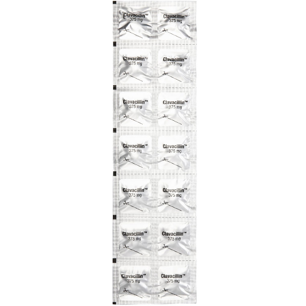 Clavacillin (Amoxicillin/Clavulanate Potassium) Veterinary Tablets 375 ...